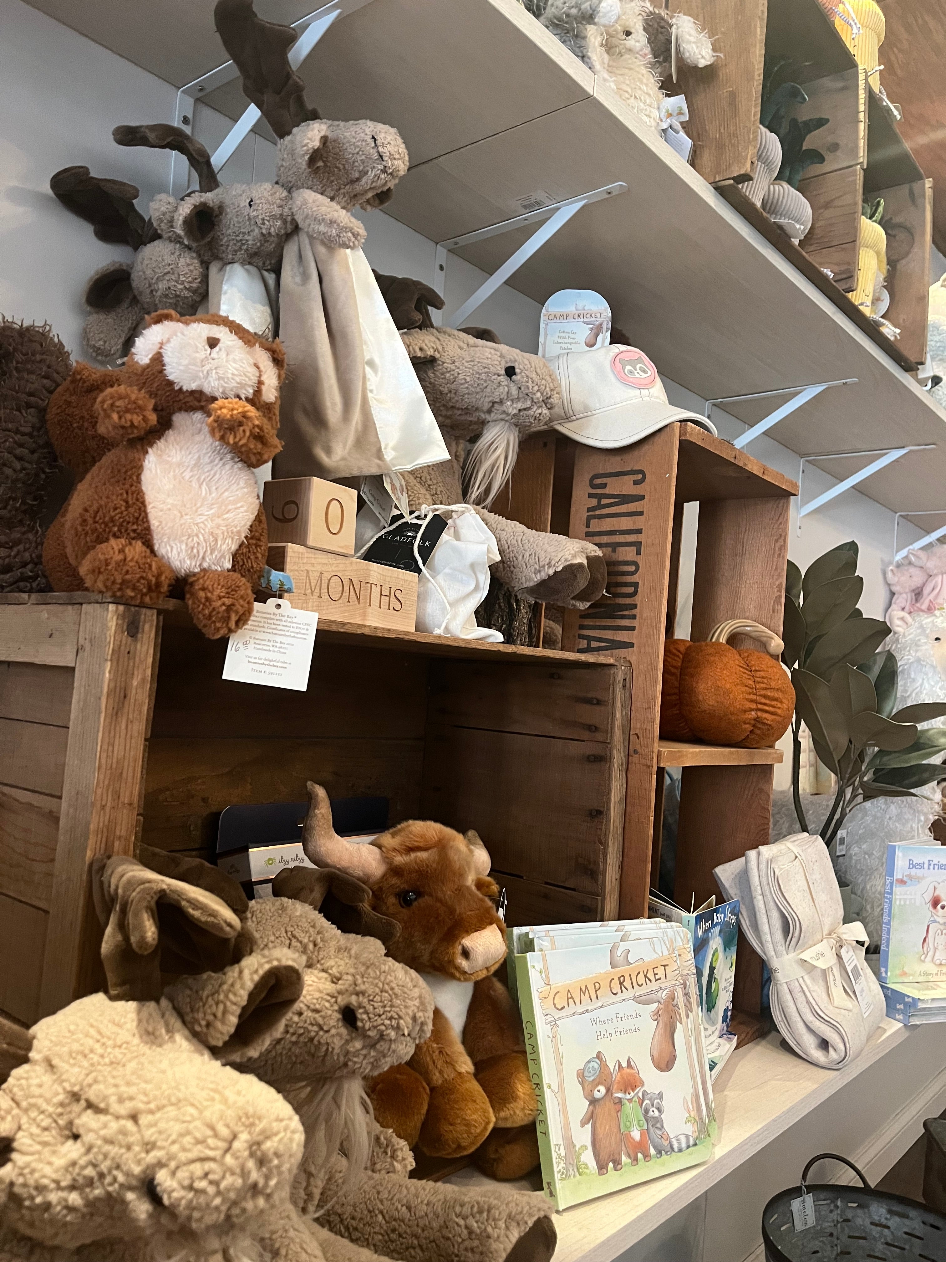 Baby – tagged "baby" – AlbionTimelessFloral